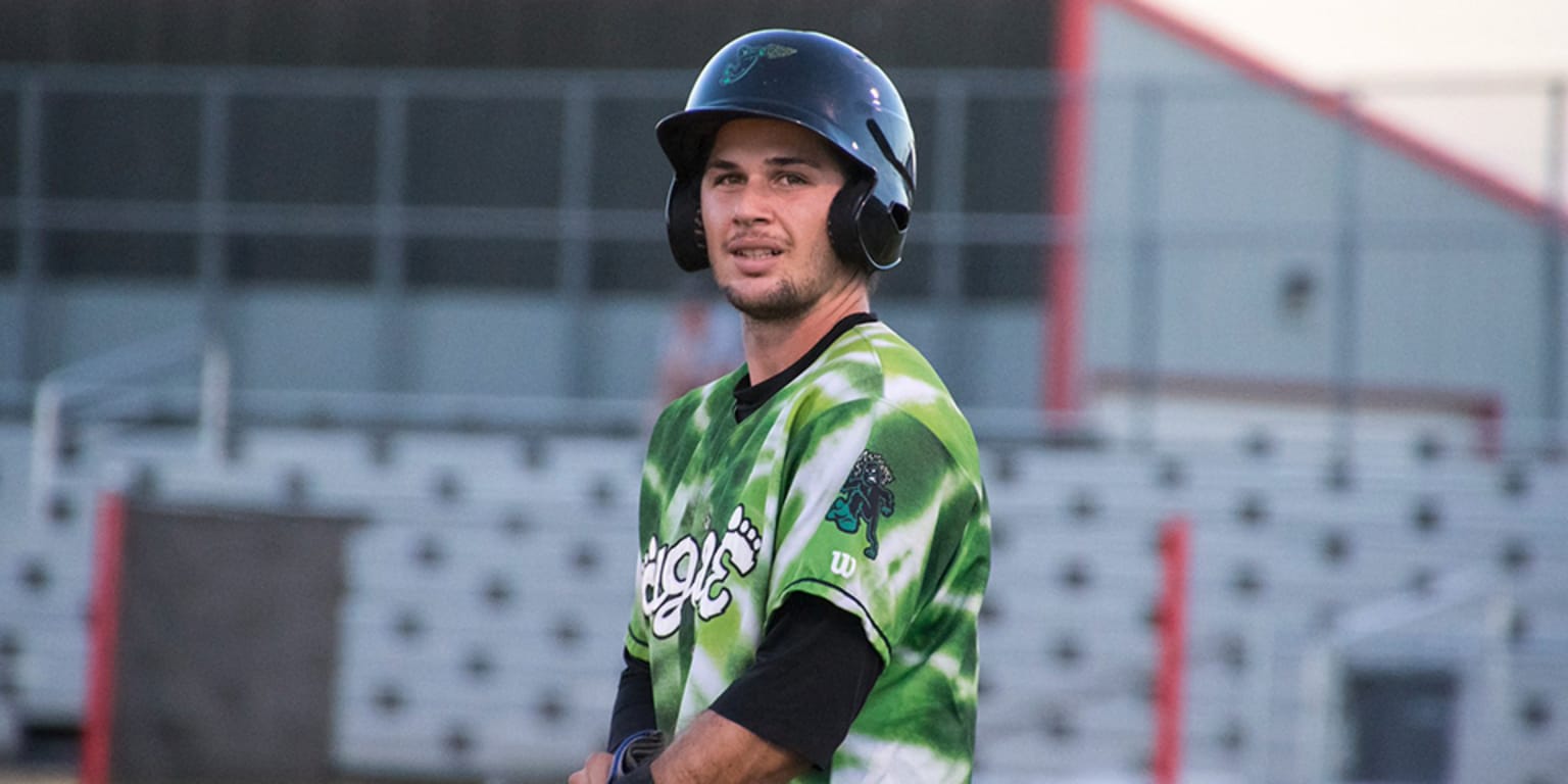 Chicago Cubs' Will Remillard ties career high with five RBIs | MiLB.com