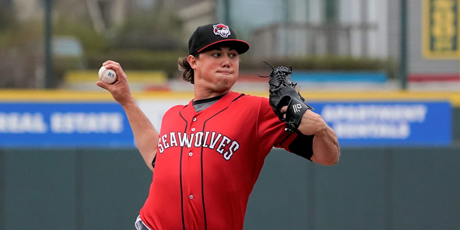 Spenser Watkins falls short in Erie SeaWolves' no-hitter hunt | MiLB.com