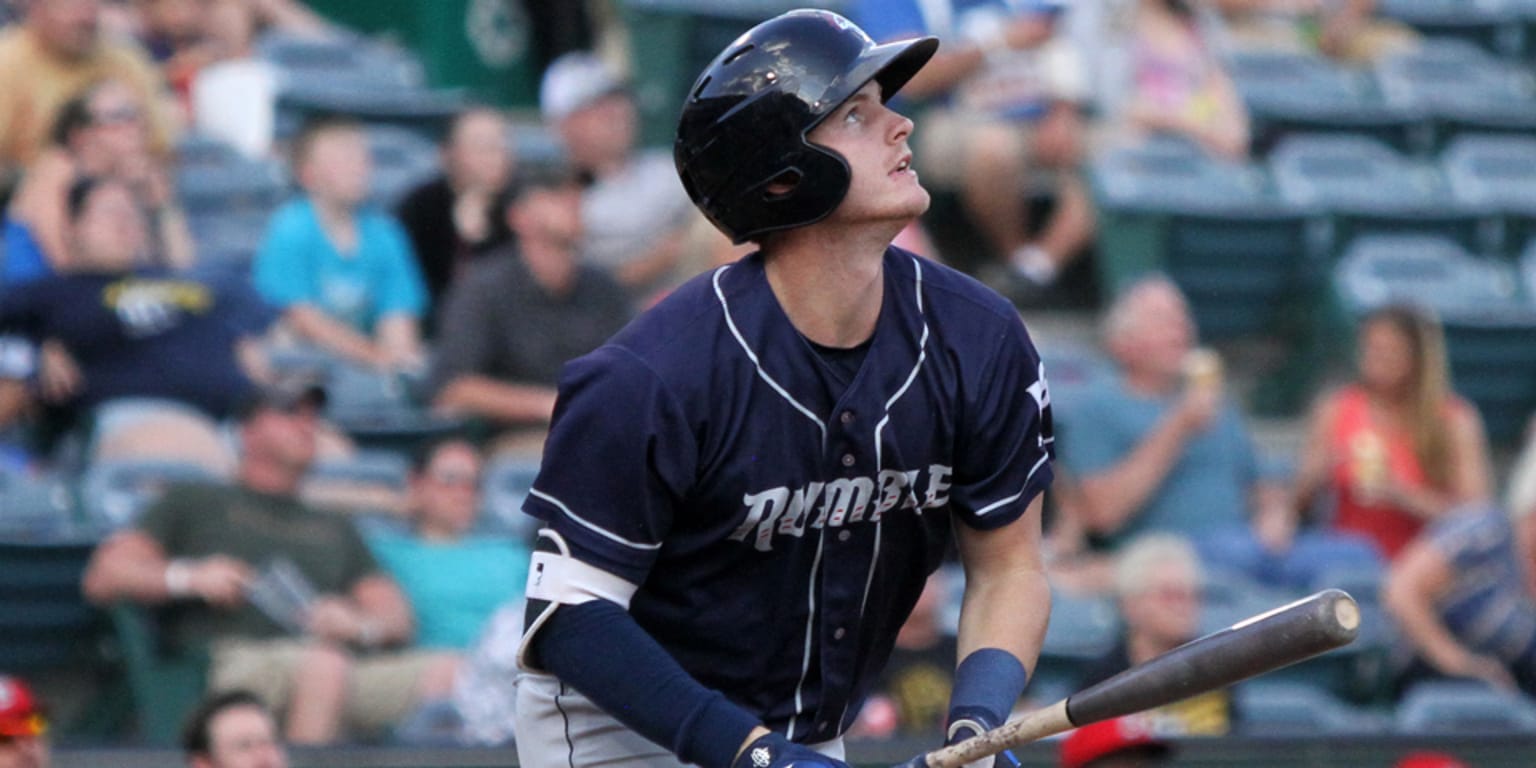 New York Mets prospect Will Toffey has hockey past | MiLB.com