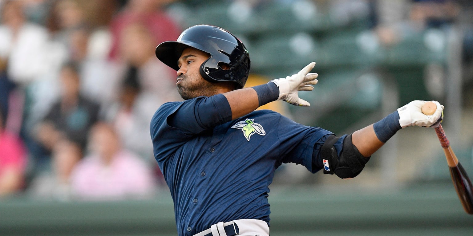 Alfonzo Smacks Two Doubles On Wednesday Afternoon | MiLB.com