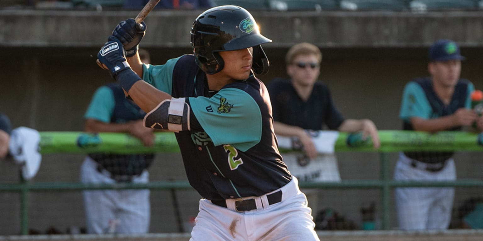 Cleveland Indians' Tyler Freeman plates three on four-hit night | MiLB.com
