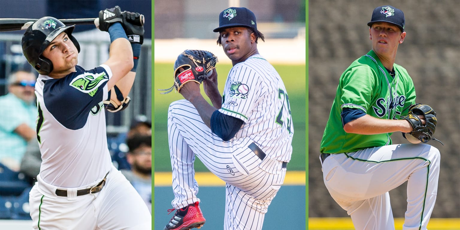 Stripers' Austin Riley, Touki Toussaint Named Atlanta Braves 2018 Minor ...