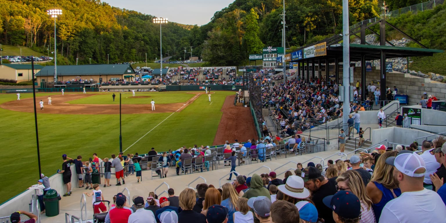 Ticket prices set for Pulaski River Turtles' 2022 season | Pulaski ...
