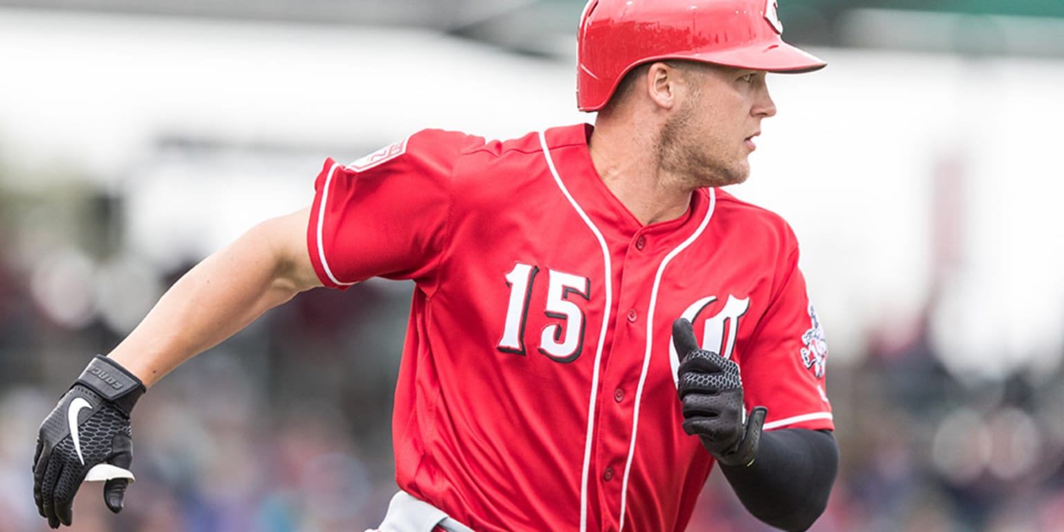 Cincinnati Reds Prospect Primer: Nick Senzel on the cusp | MiLB.com