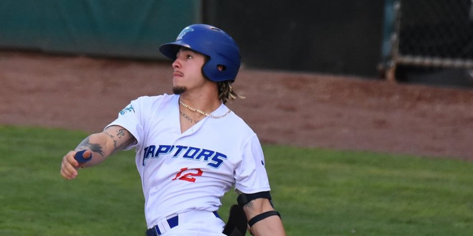 Hulsizer Homer Not Enough As Raptors Fall | MiLB.com