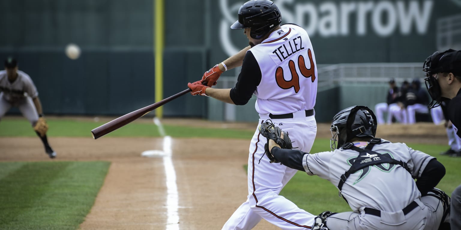 The Great Lansing Lugnuts' Name Quiz! | MiLB.com