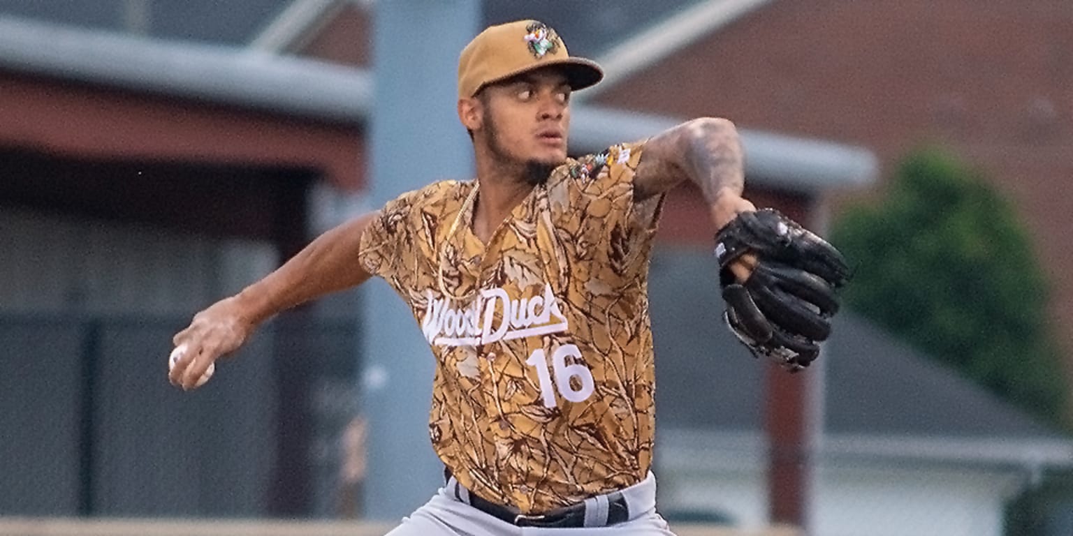 Texas Rangers prospect Jonathan Hernandez fans 10 for Down East | MiLB.com