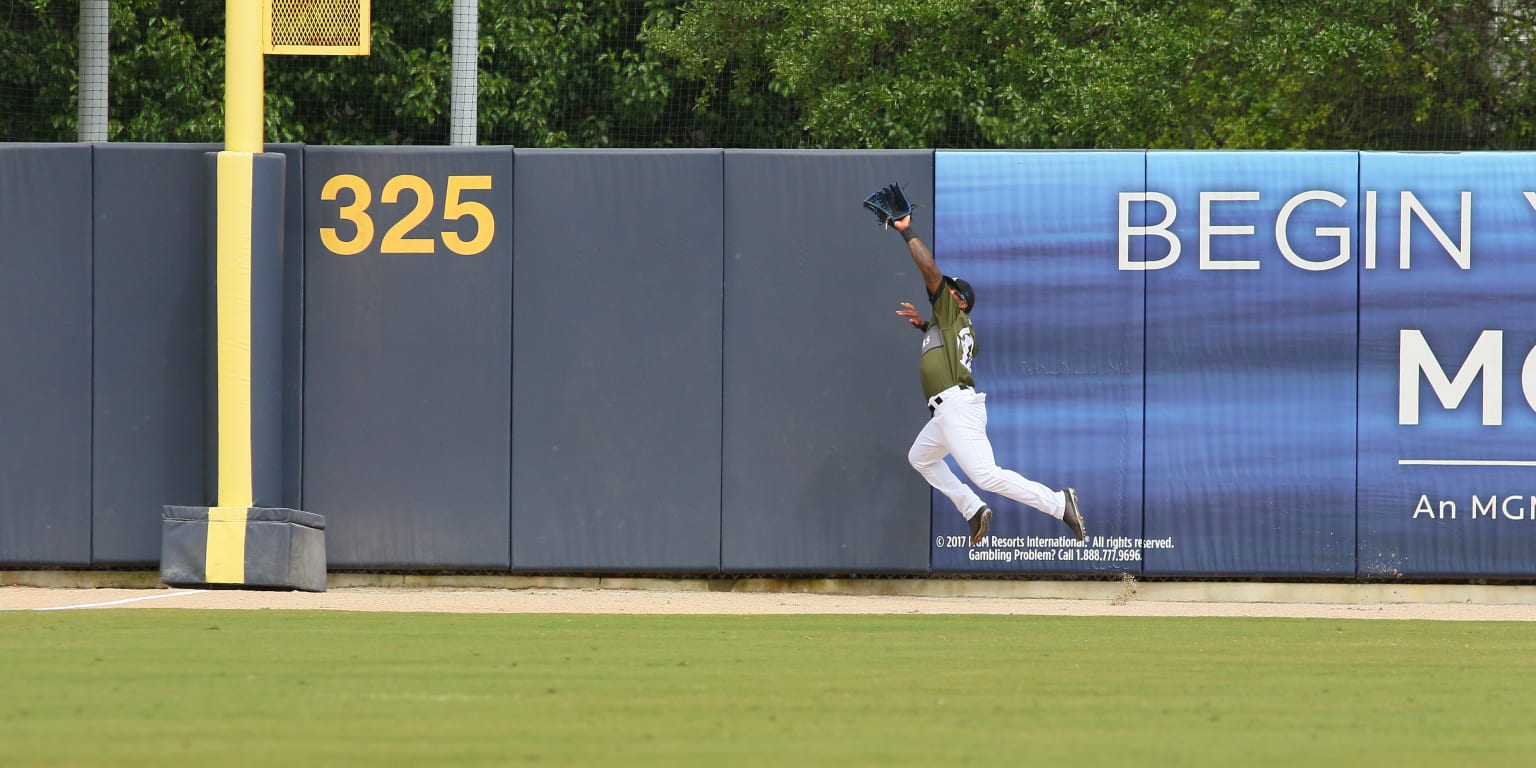 Troy Stokes Jr. Awarded Rawlings Gold Glove | MiLB.com