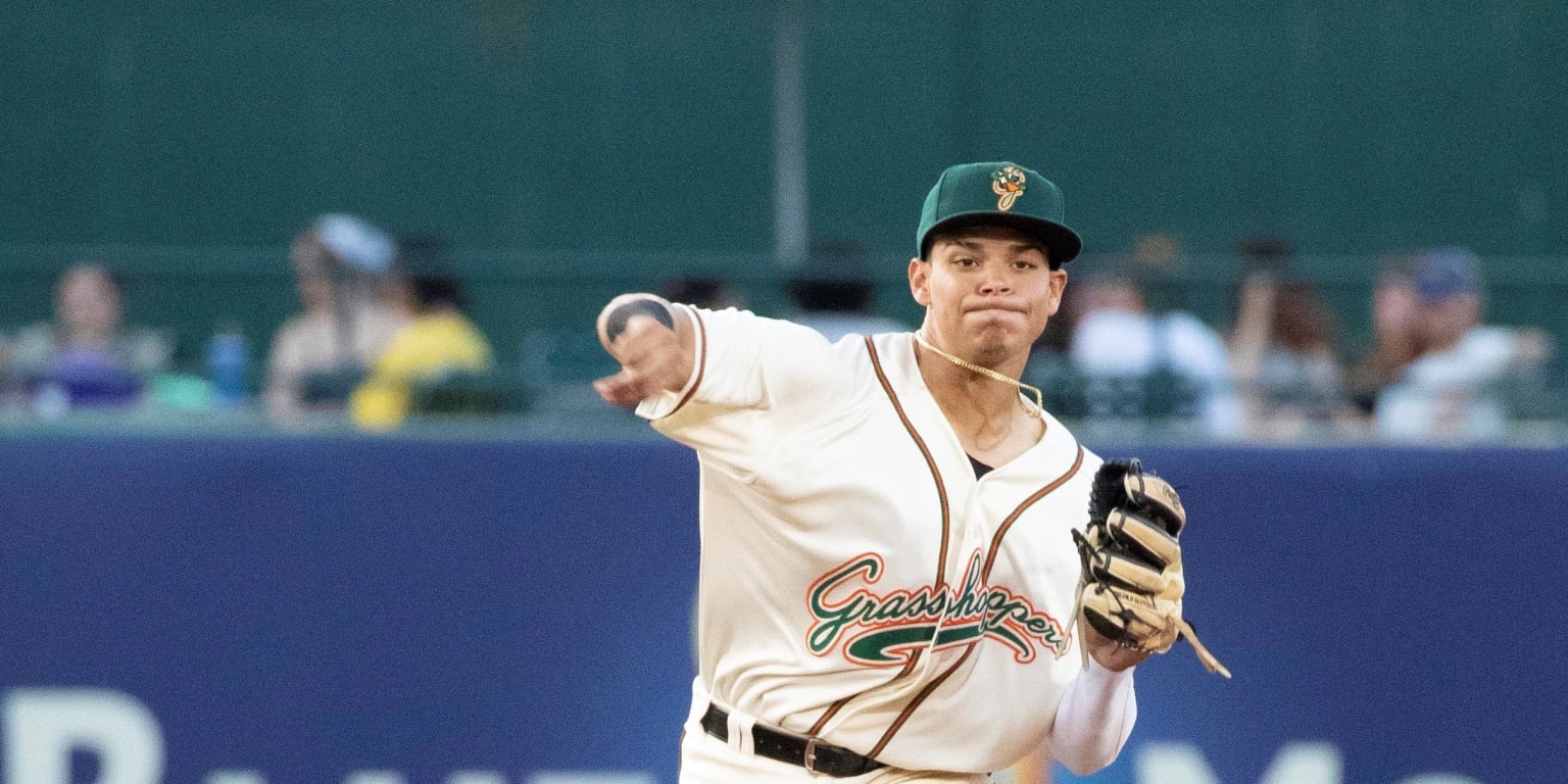 Drive pitcher's debut silences Hoppers offense | MiLB.com