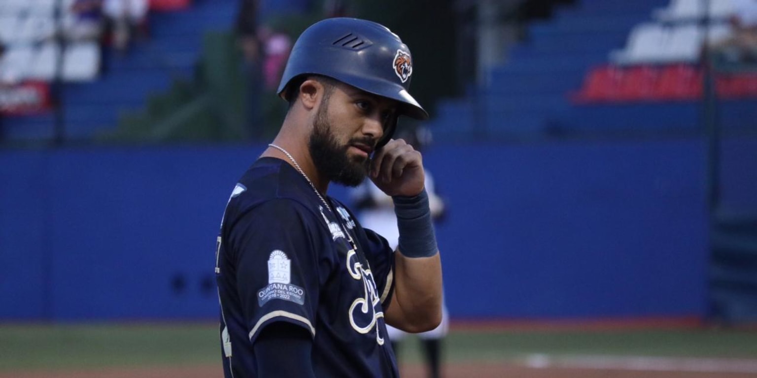 Tigres: Brian Hernández dice adiós a los diamantes | MiLB.com