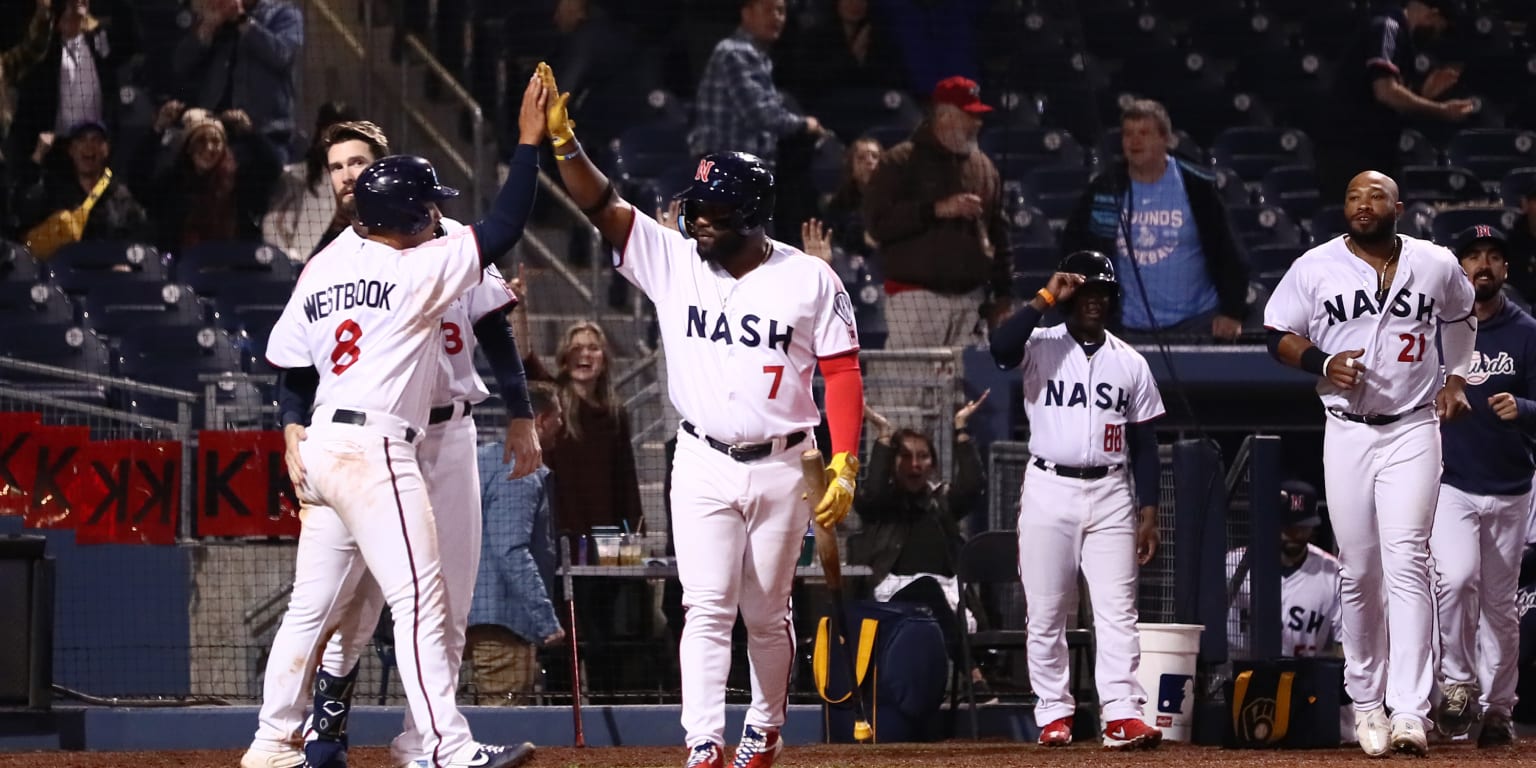 Sounds Score Walk-Off Winner on Opening Day | MiLB.com