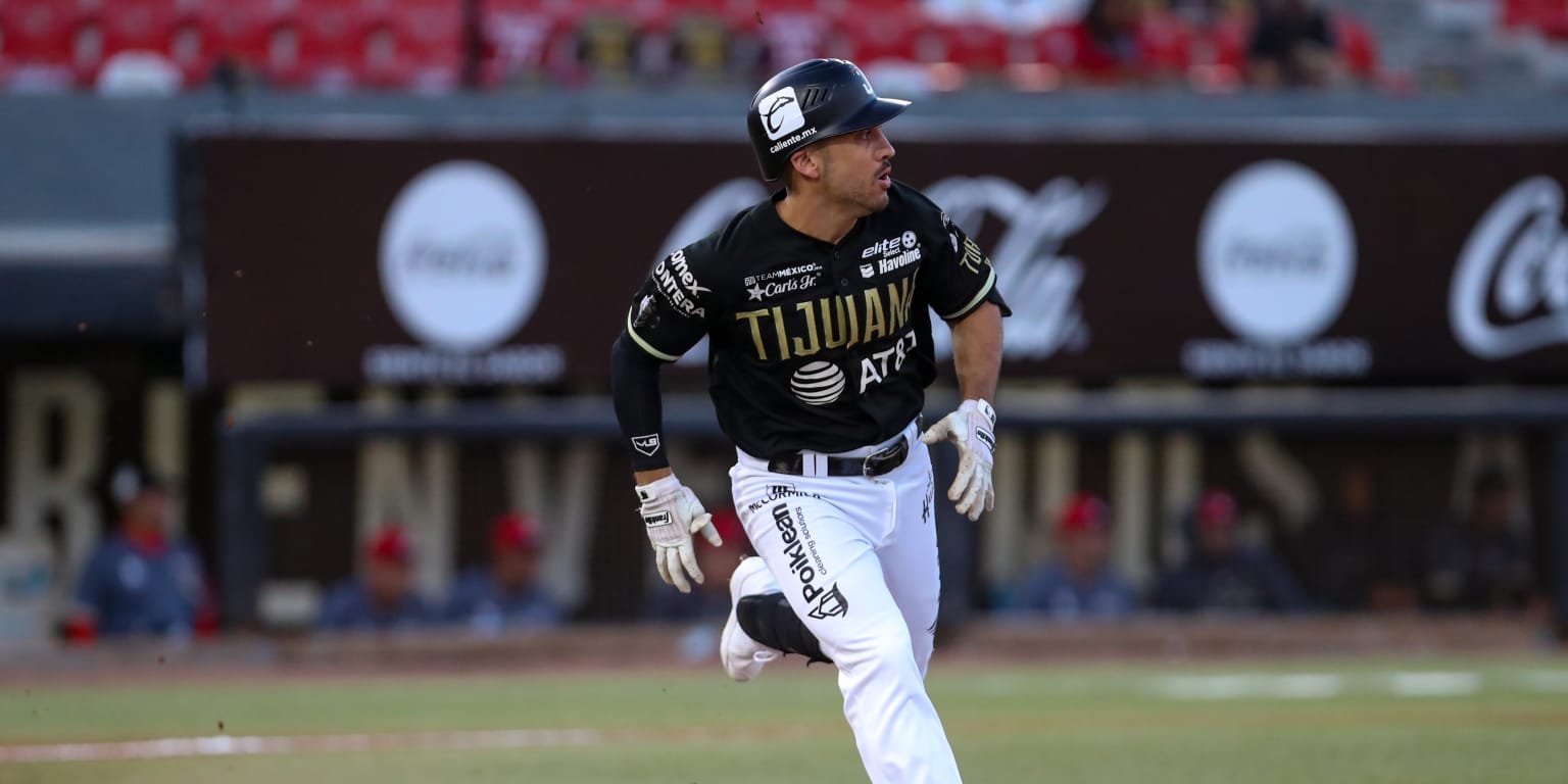 Toros: Campeón en la cima | MiLB.com