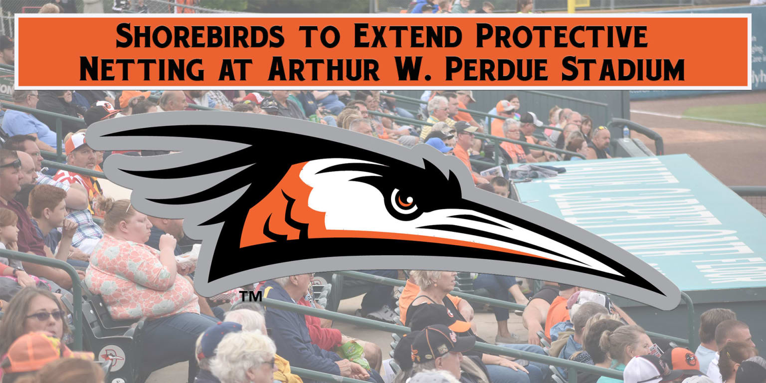 Shorebirds to Extend Protective Netting at Arthur W. Perdue Stadium ...