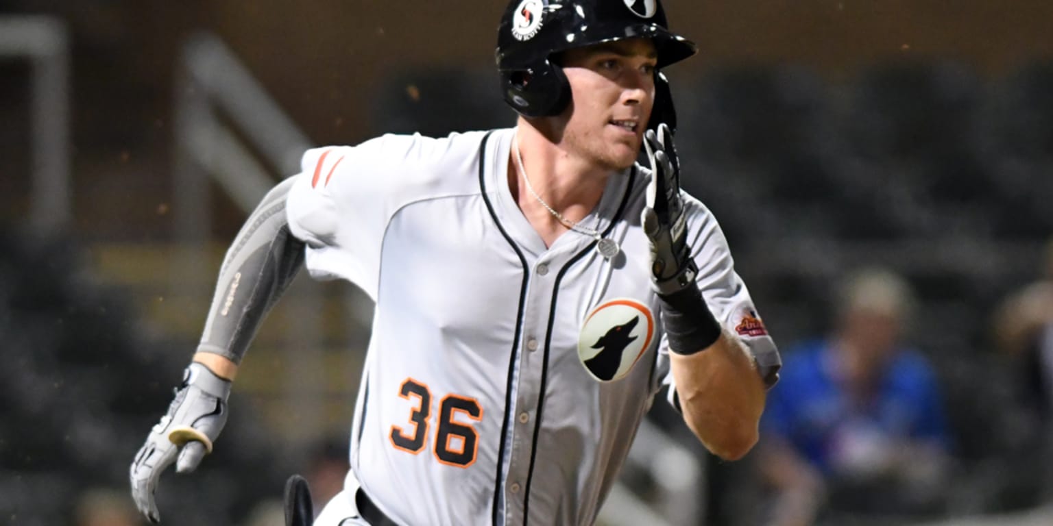 Tyler Stephenson using Arizona Fall League as growing experience | MiLB.com