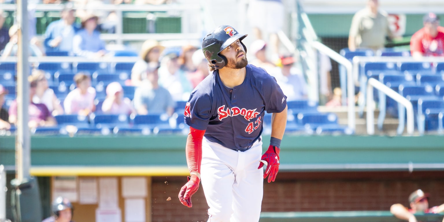 'Dogs hit three homers in an 8-4 loss to 'Cats | MiLB.com