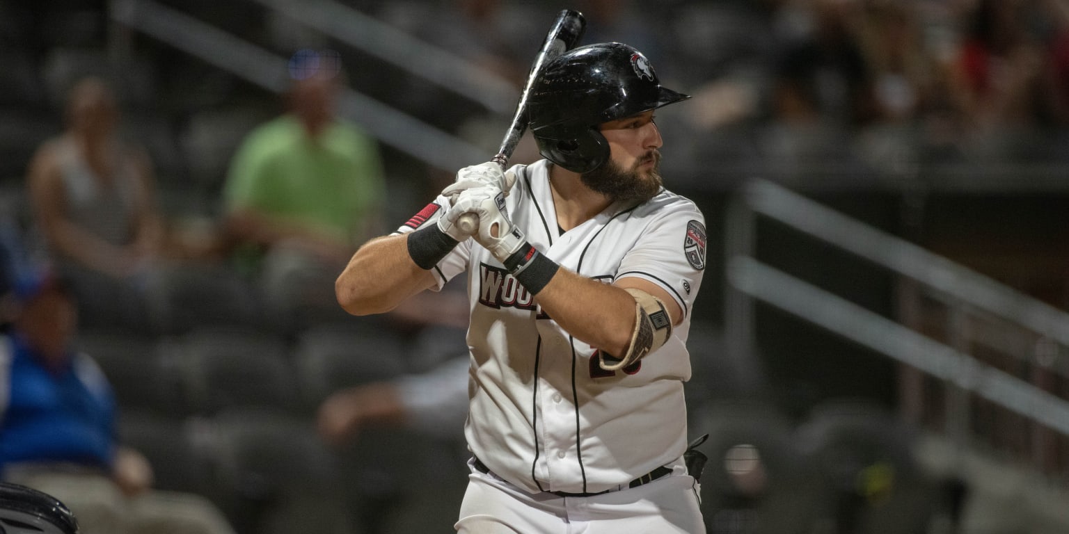 Jake Adams Speaks Softly and Carries a Big Stick | MiLB.com