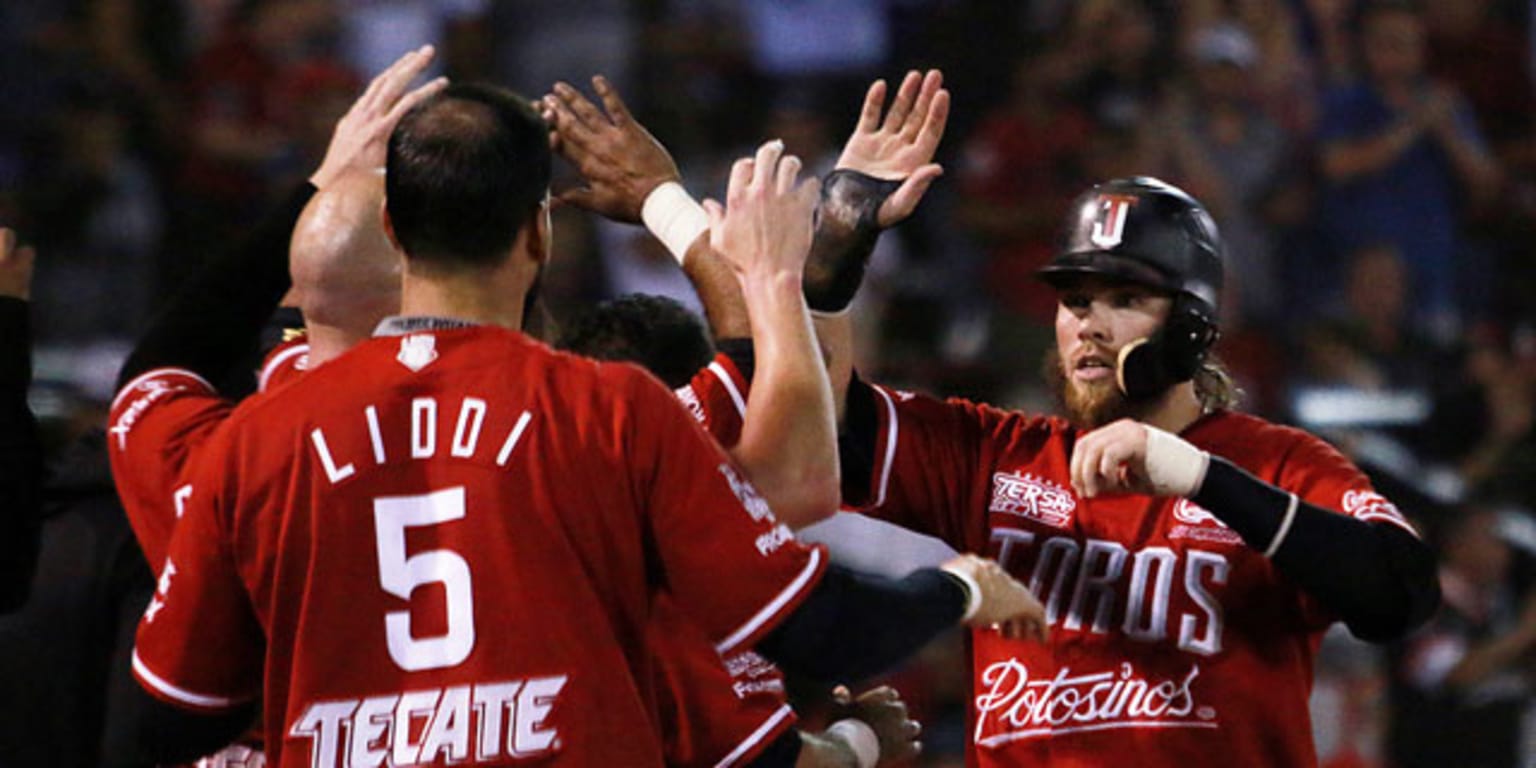 Toros, en búsqueda del título | MiLB.com