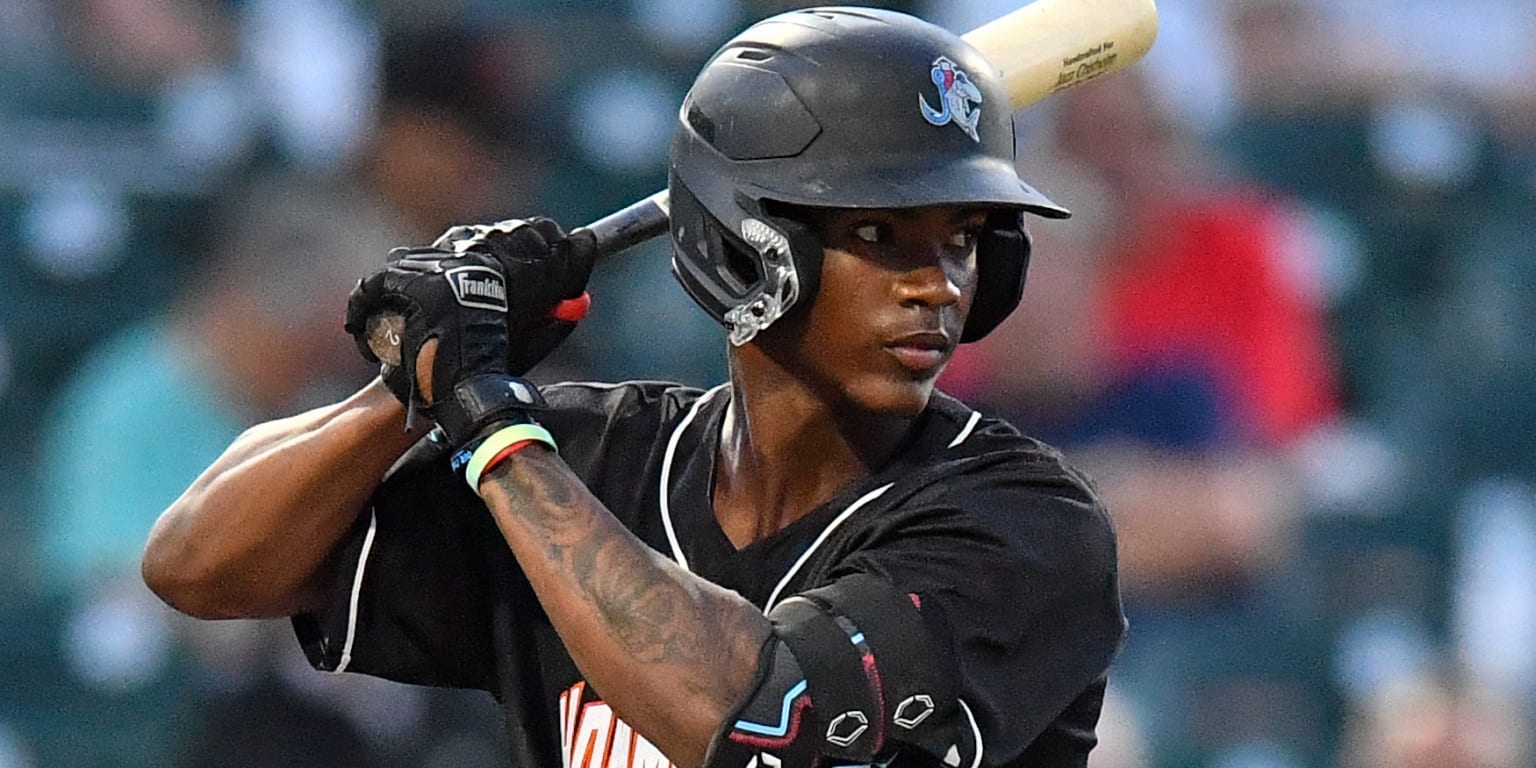 Santos Drives in Four, Hammerheads Win | MiLB.com