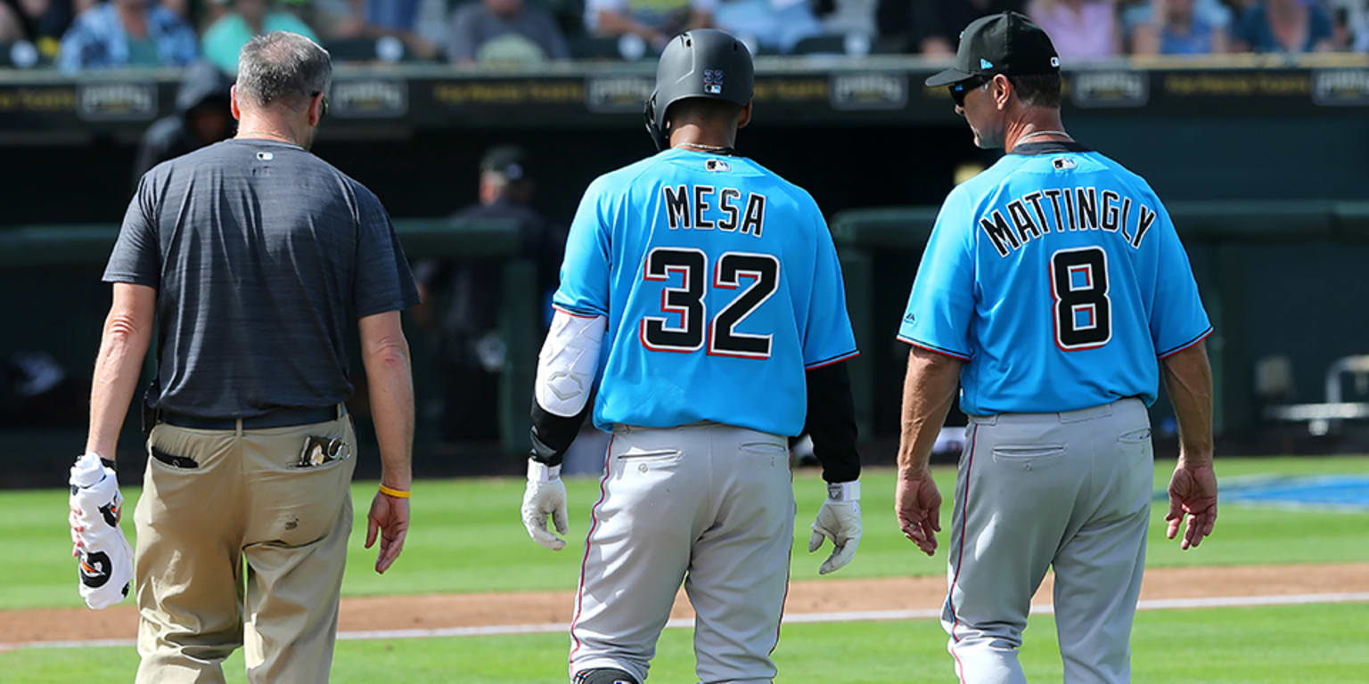 Marlins' Victor Victor Mesa strains hamstring in Grapefruit League game ...