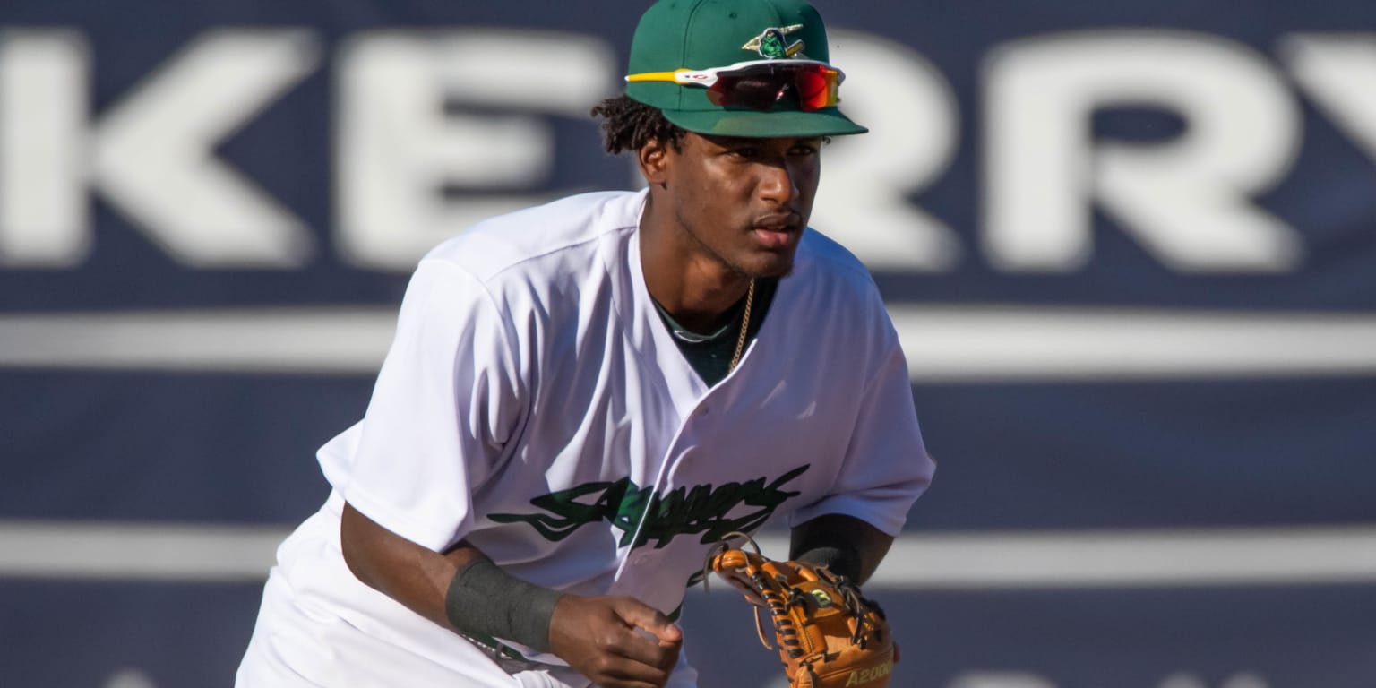 Snappers Drop Series Opener against Cougars 6-1 | MiLB.com