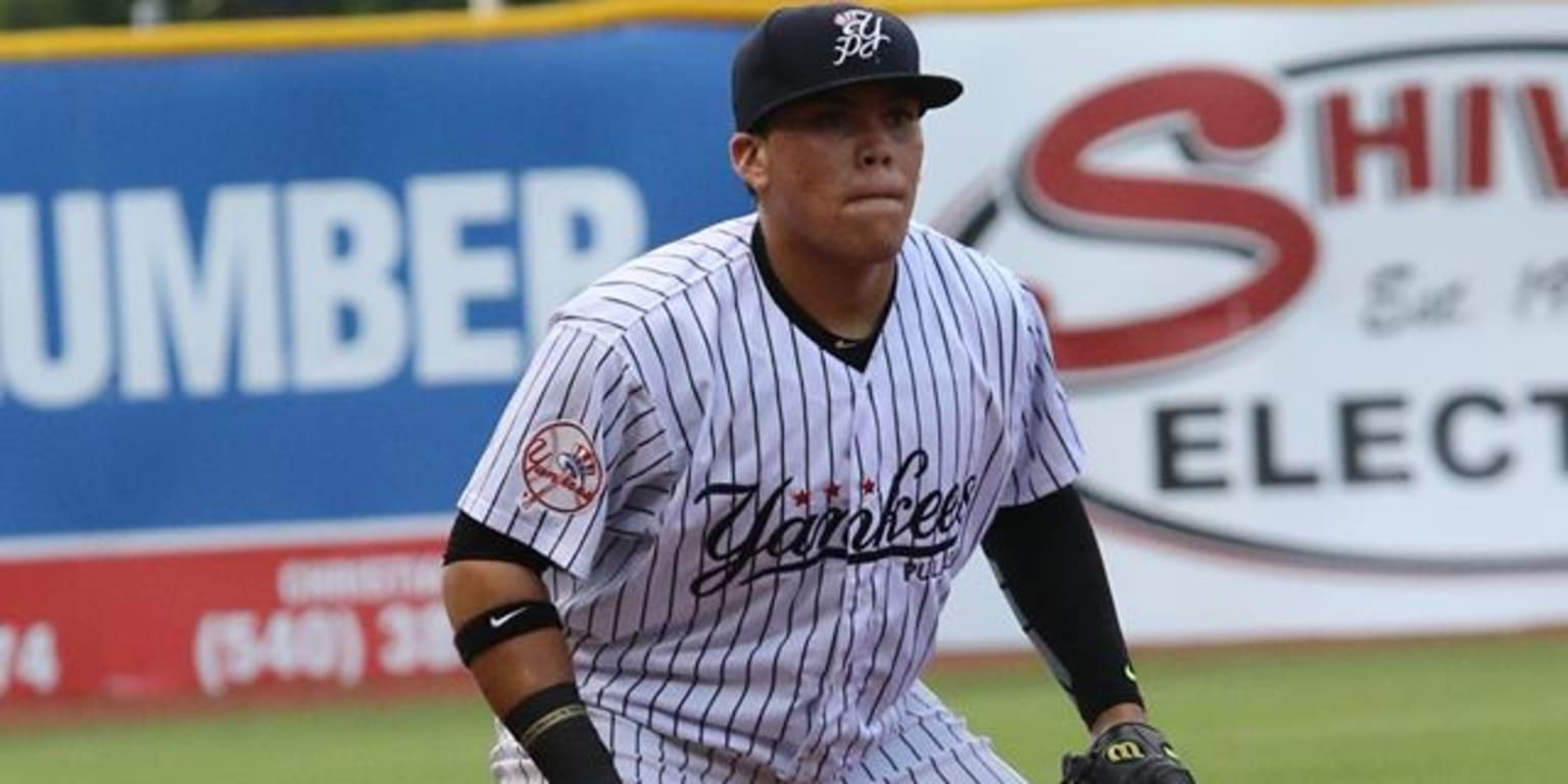 Pulaski Yankees Down Princeton 8-3 To Complete Series Sweep | River Turtles