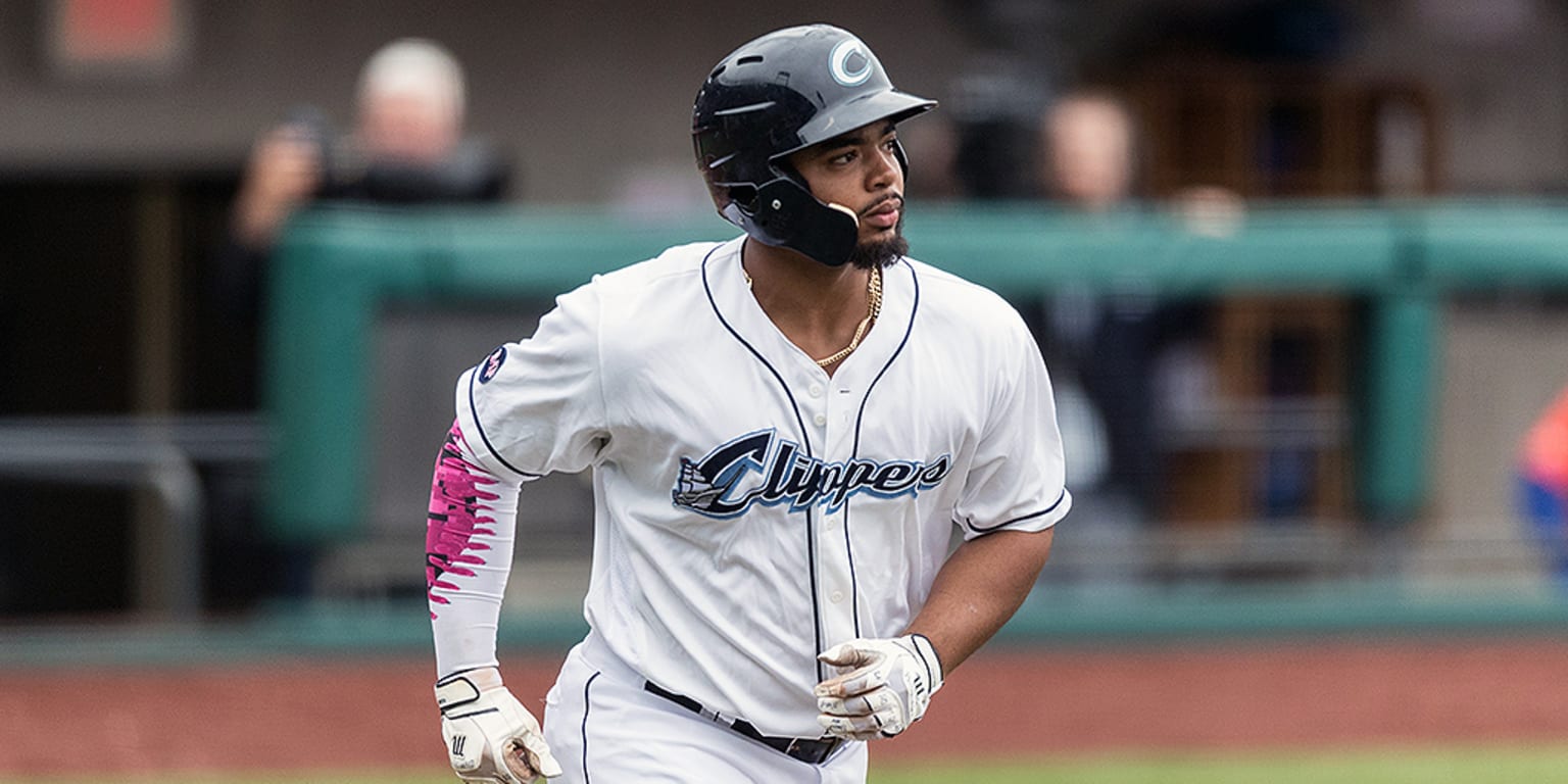 Minor League Baseball announces May Uncle Ray's Players of the Month ...
