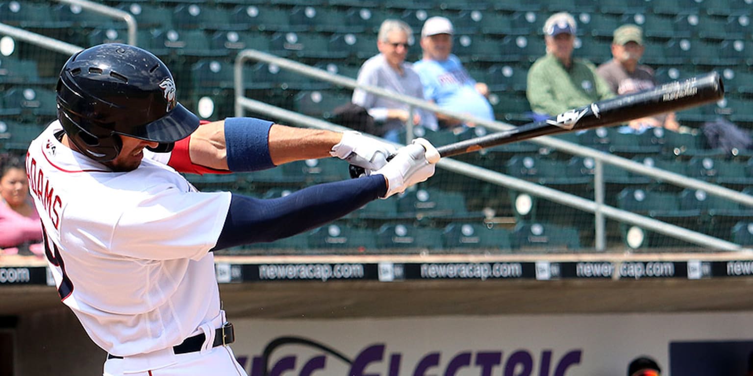 game-031-recap-pigs-vs-bulls | MiLB.com