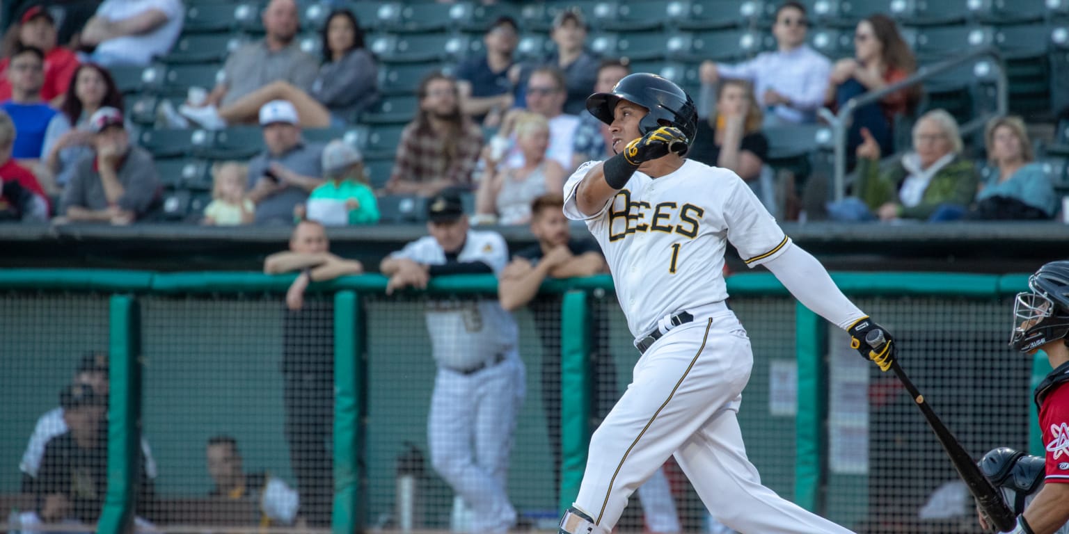 Bees Avoid Series Sweep | MiLB.com