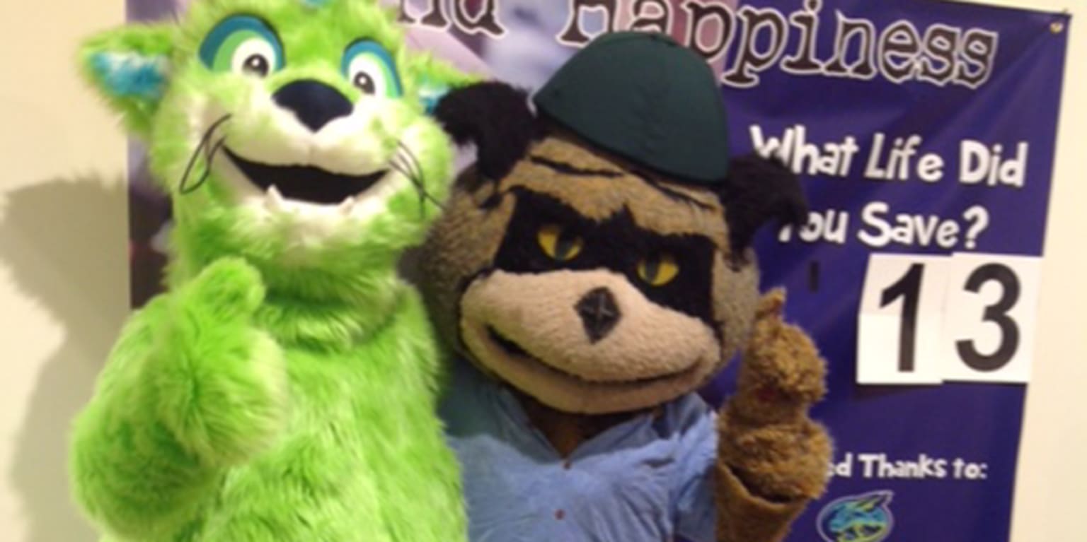 Hillcats New Mascot Lowers Ticket Prices | MiLB.com
