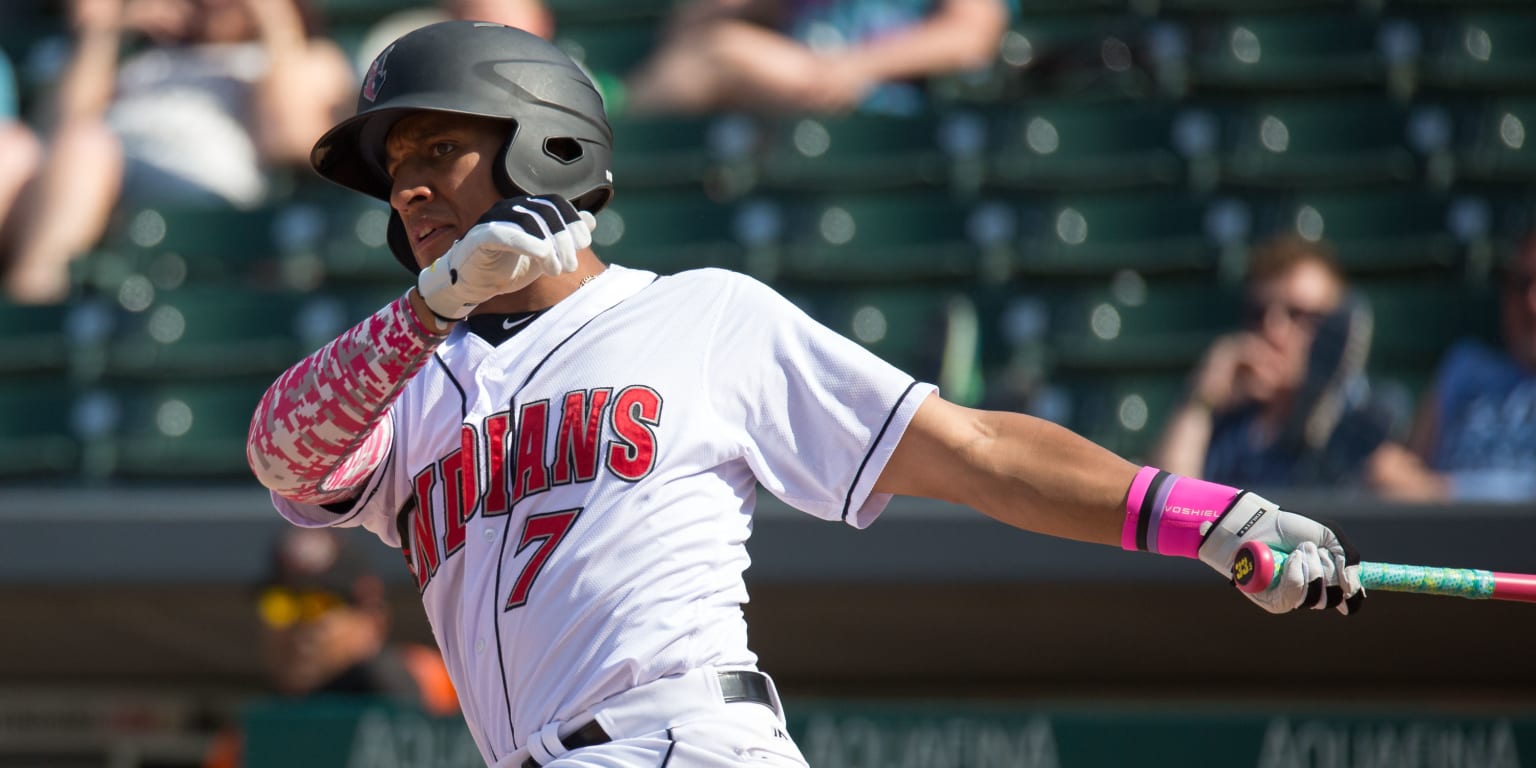 Christopher Bostick Headlines 2017 Season Awards | MiLB.com