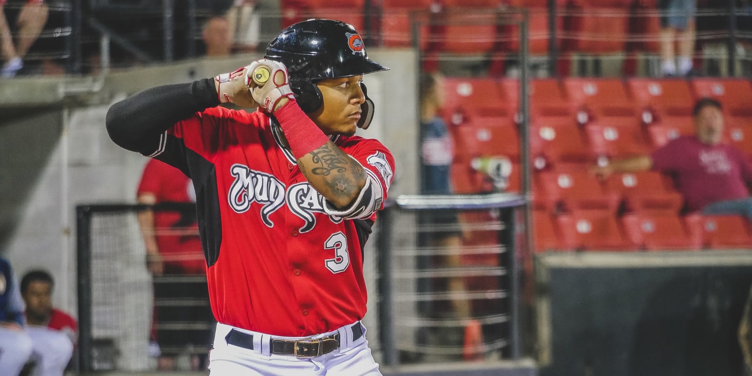 Carolina Loses Season Finale 3-1 in Salem | MiLB.com
