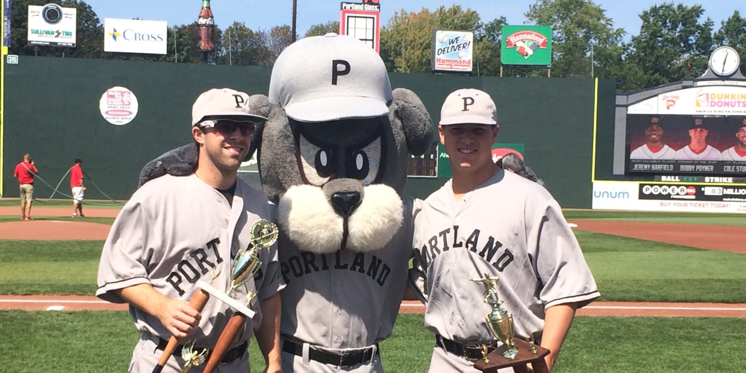 Sea Dogs announce 2017 team award winners | MiLB.com