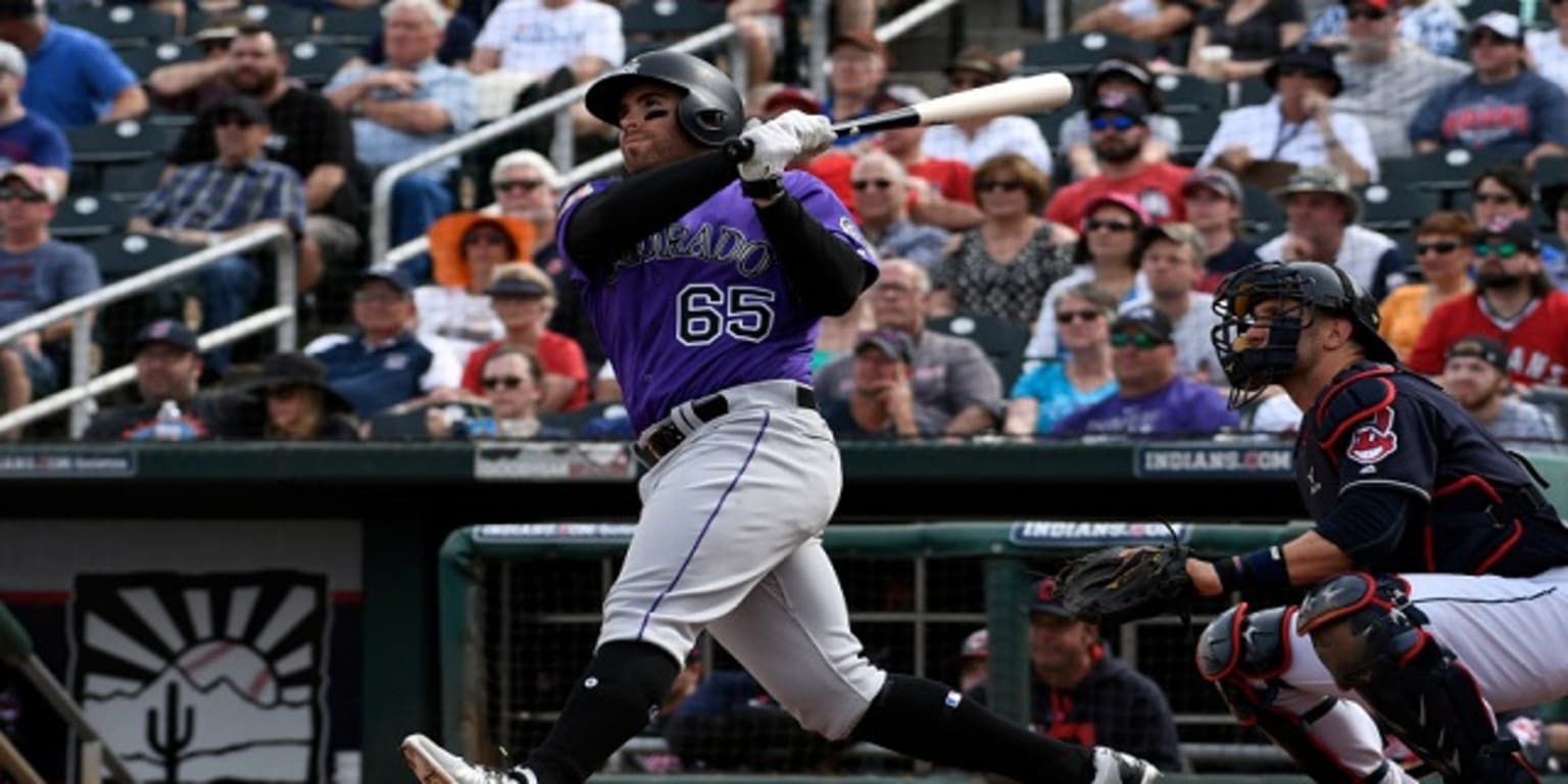 Stephen Cardullo agregará poder a la ofensiva de los Dos Laredos | MiLB.com