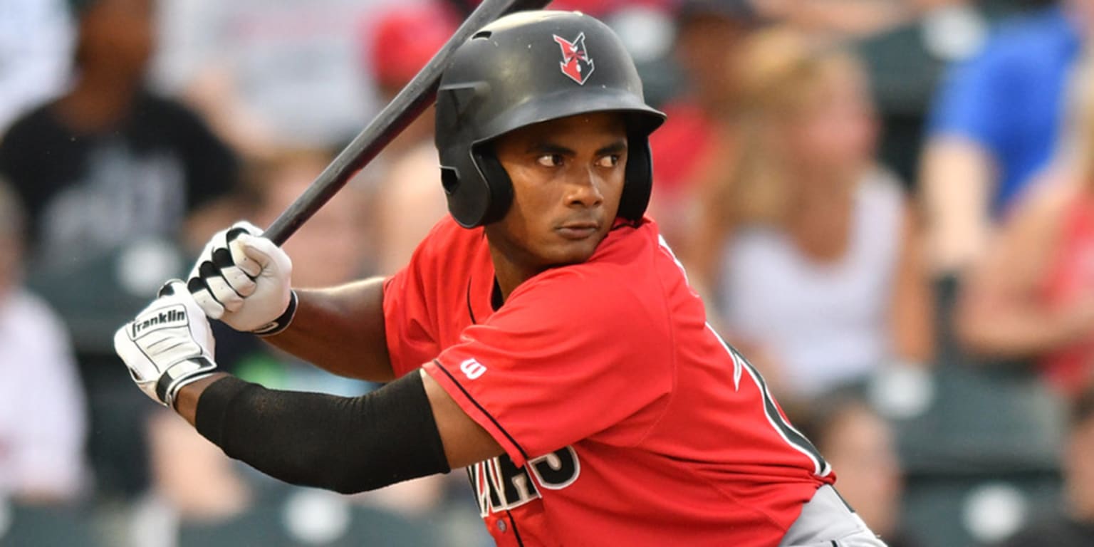 Pittsburgh Pirates' Pablo Reyes suspended 80 games | MiLB.com