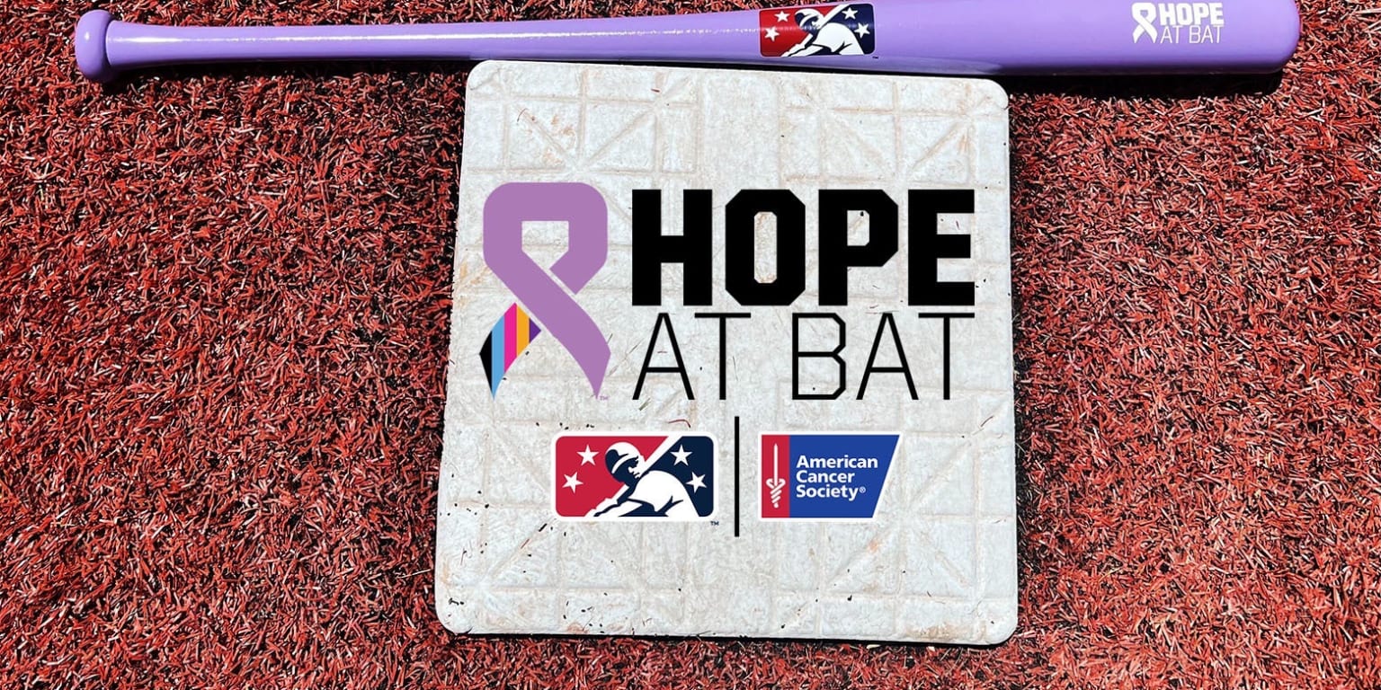 Hope At Bat: Gades to host Hope At Bat game Wednesday | MiLB.com