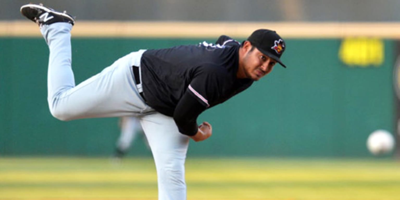 Adam Quintana y Geno Encina llegan a la Furia Azul | MiLB.com