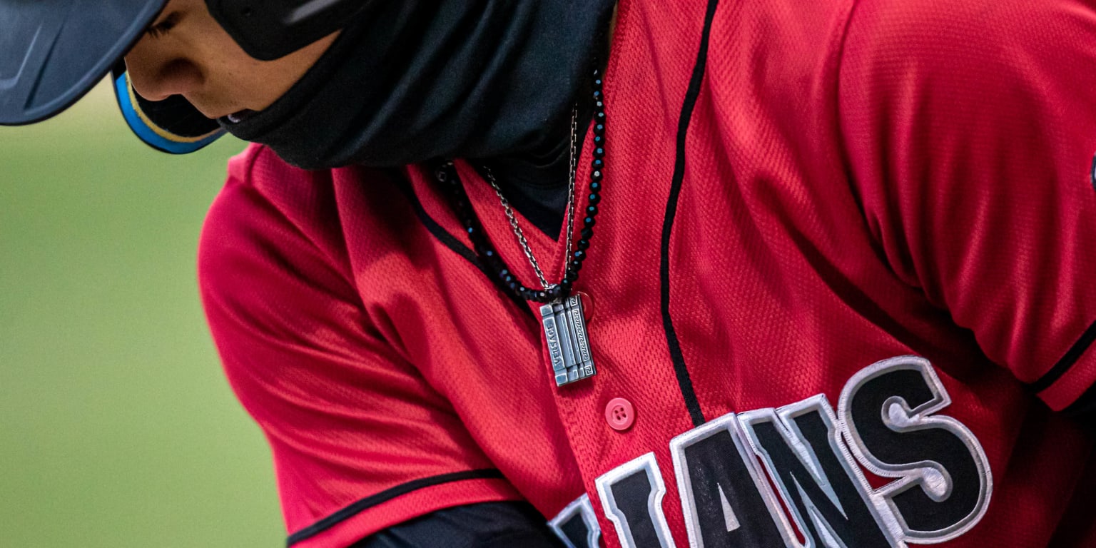 Bae’s Big Day Leads to Level Series | MiLB.com