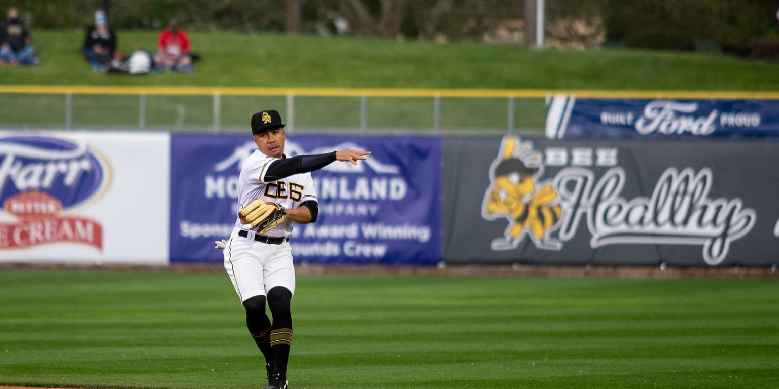Series Preview: Bees Return Home For Six-Game Series Against Round Rock ...