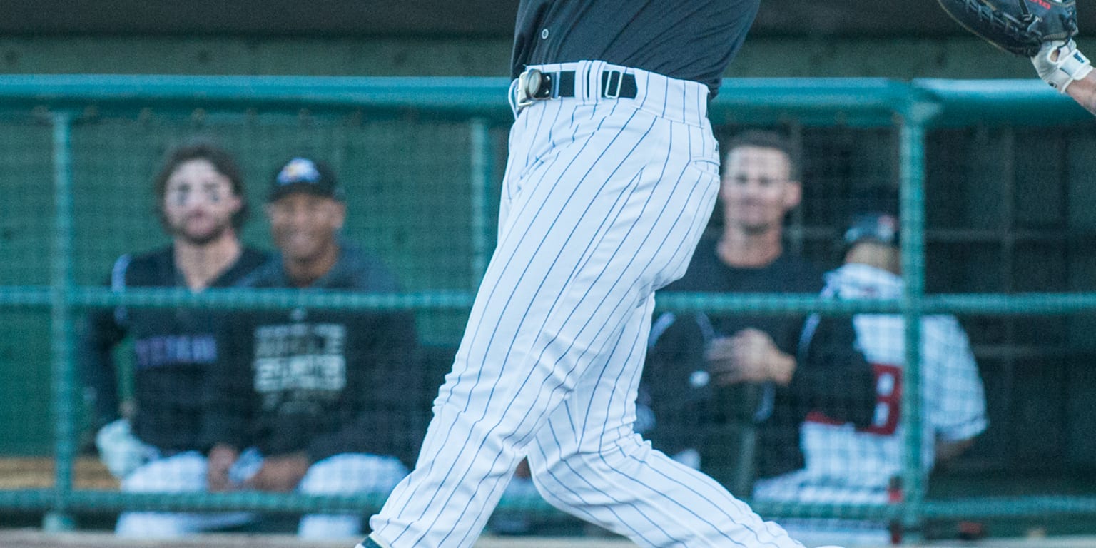 'Hawks walk off on McLaughlin single | MiLB.com