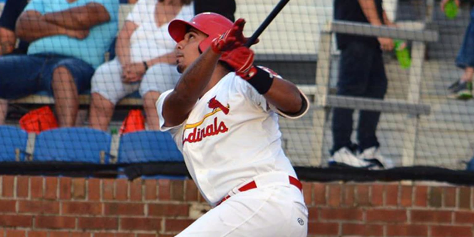 Cardinals walked-off in finale to Rays, 8-7 | MiLB.com