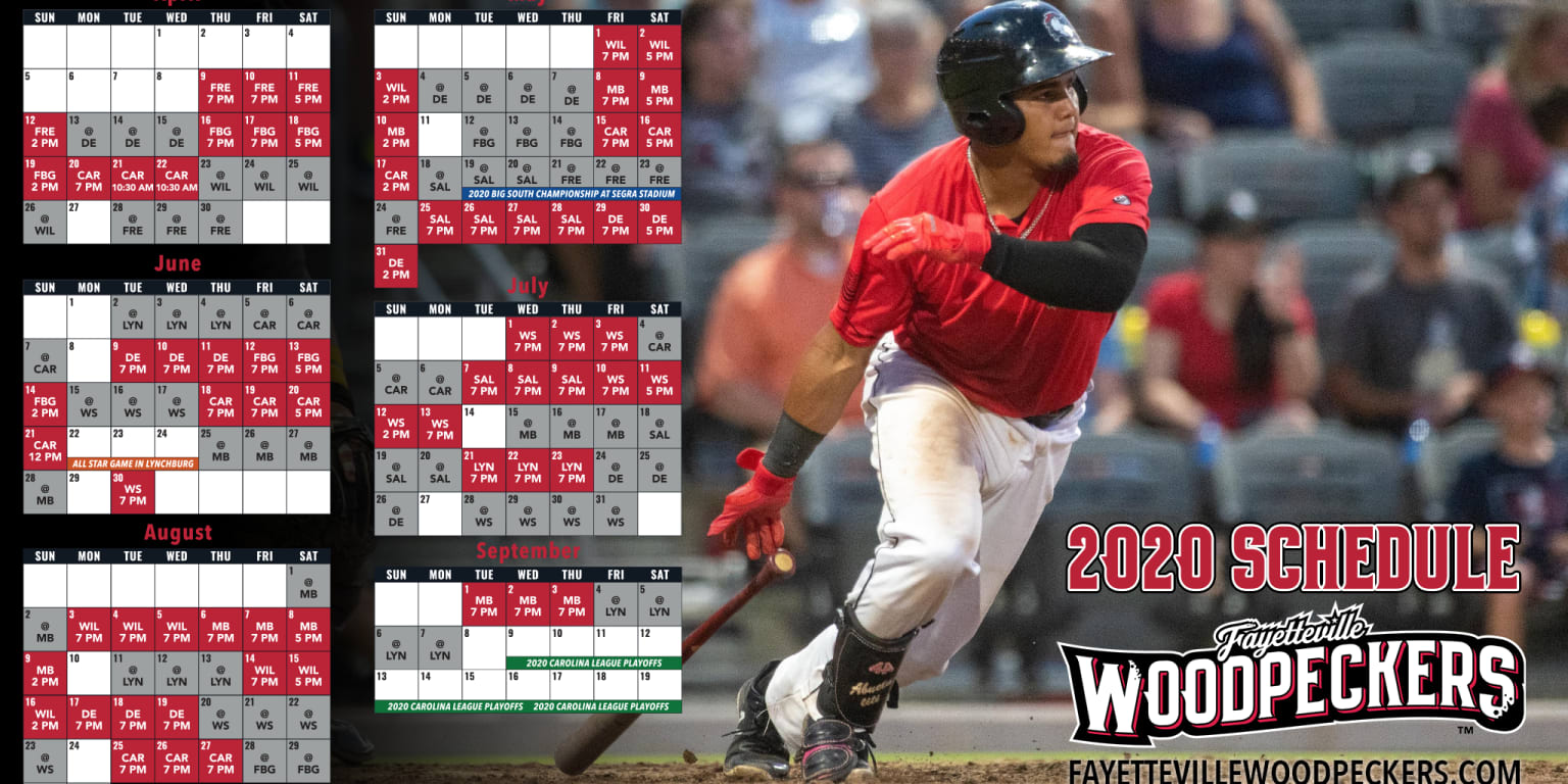 CAROLINA LEAGUE PLAYOFFS RESCHEDULED DUE TO HURRICANE DORIAN | MiLB.com