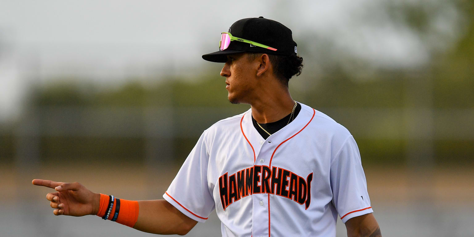 Hammerheads Win Series Finale | MiLB.com