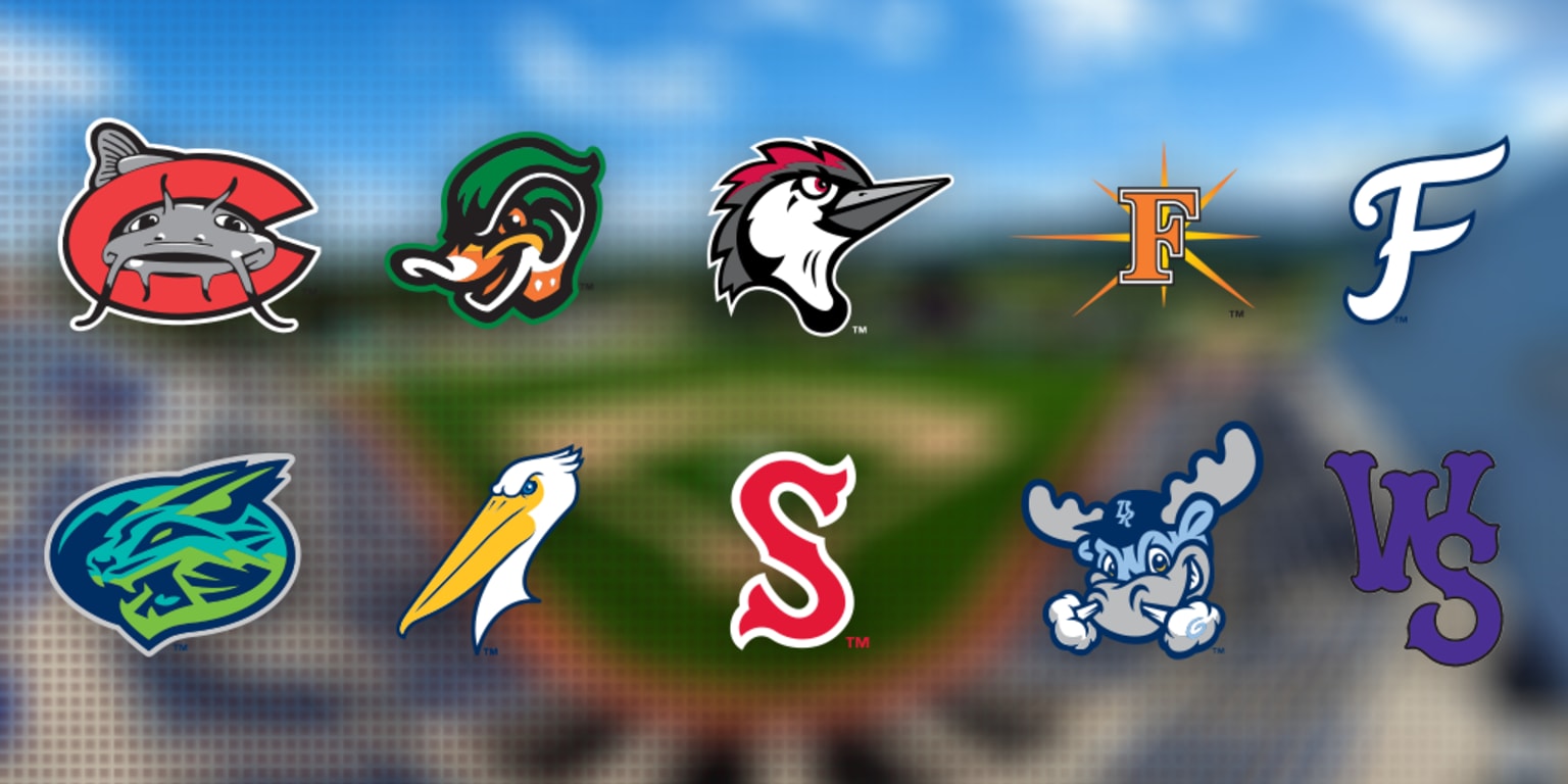 Unique facts about the 10 teams of the Carolina League | MiLB.com