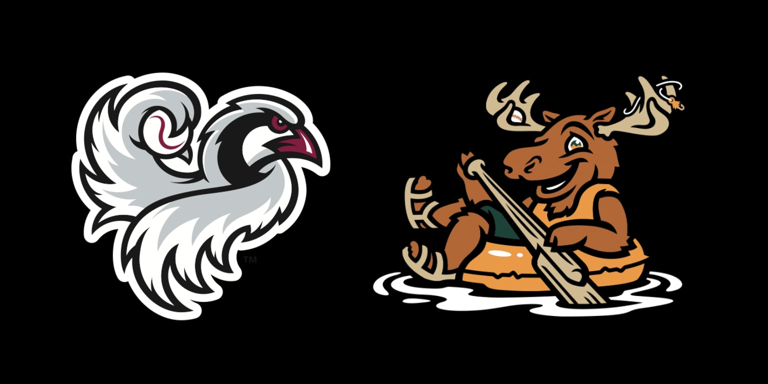 Northern Division Title on the Line Tonight | MiLB.com