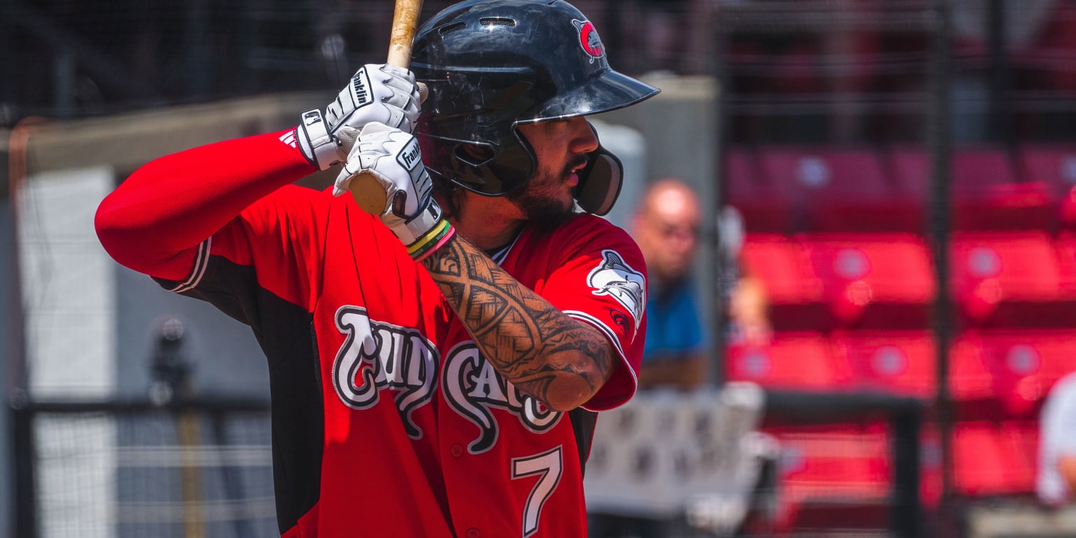 Mudcats Drop Second Straight 10-5 | MiLB.com