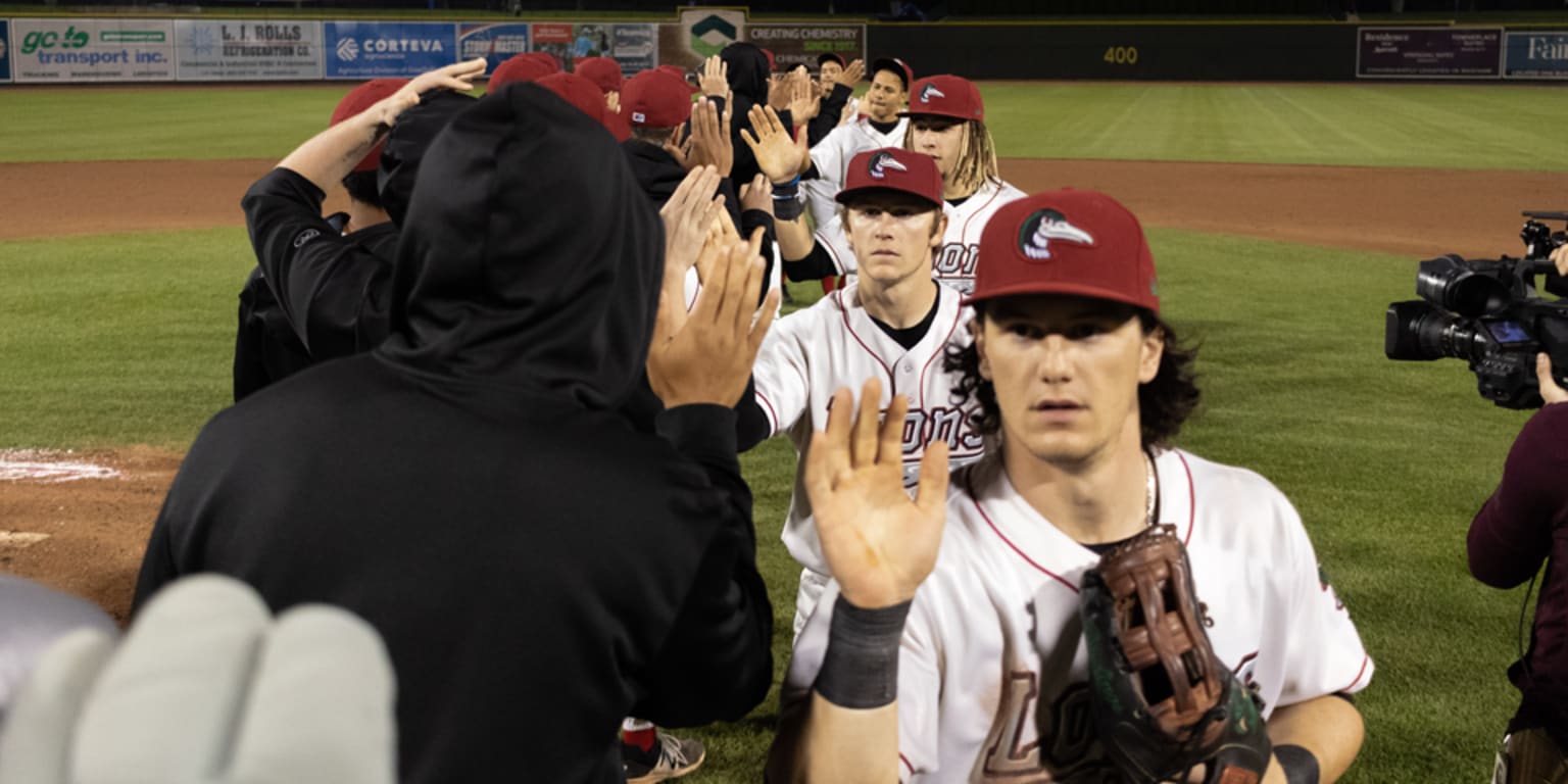 Count 'Em: 20 Hits | MiLB.com