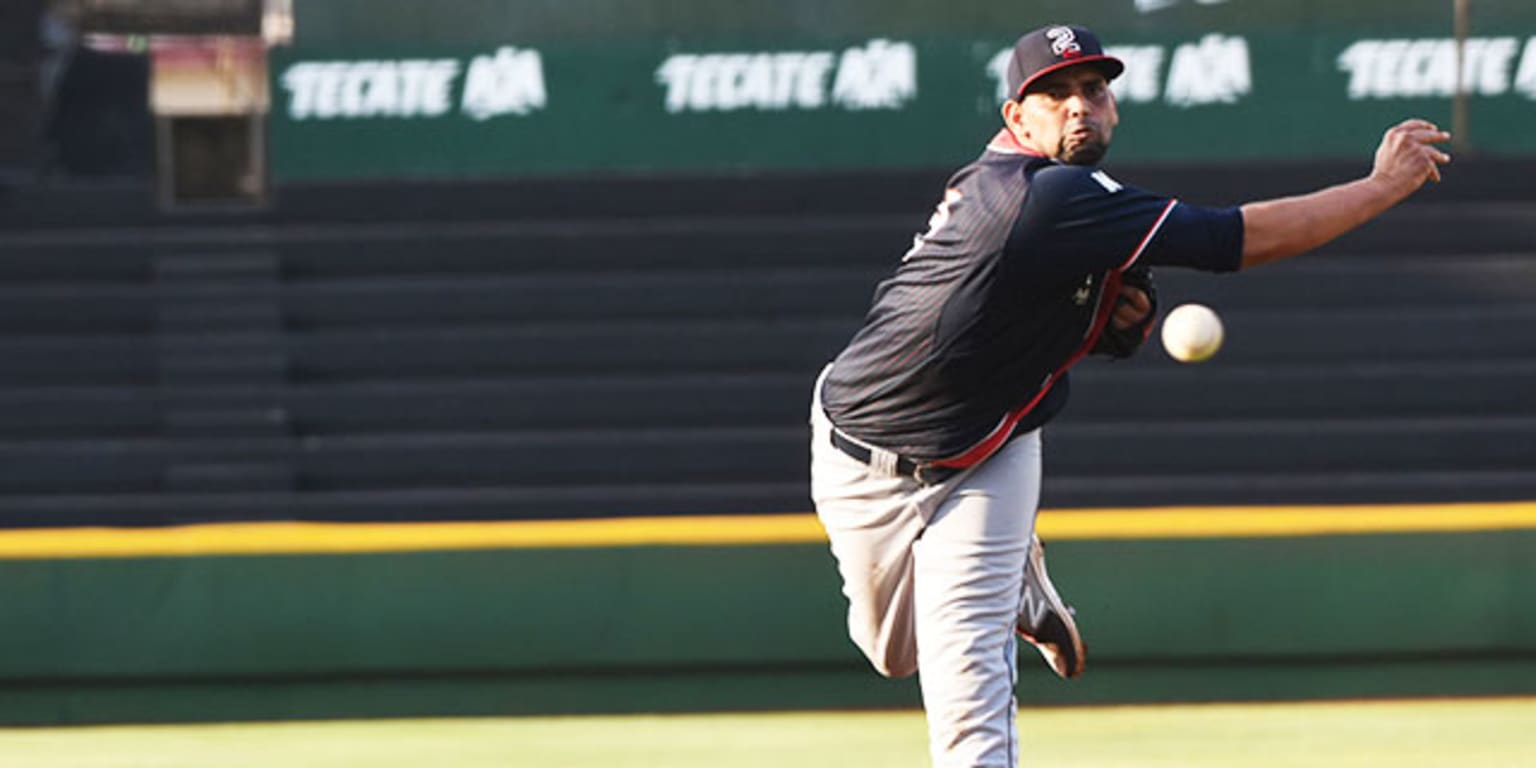 Acereros se refuerza con José Piña | MiLB.com