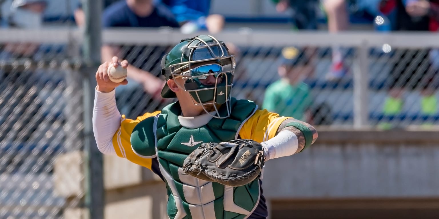 Snappers Fall to Bees 2-4 in a Close Contest | MiLB.com