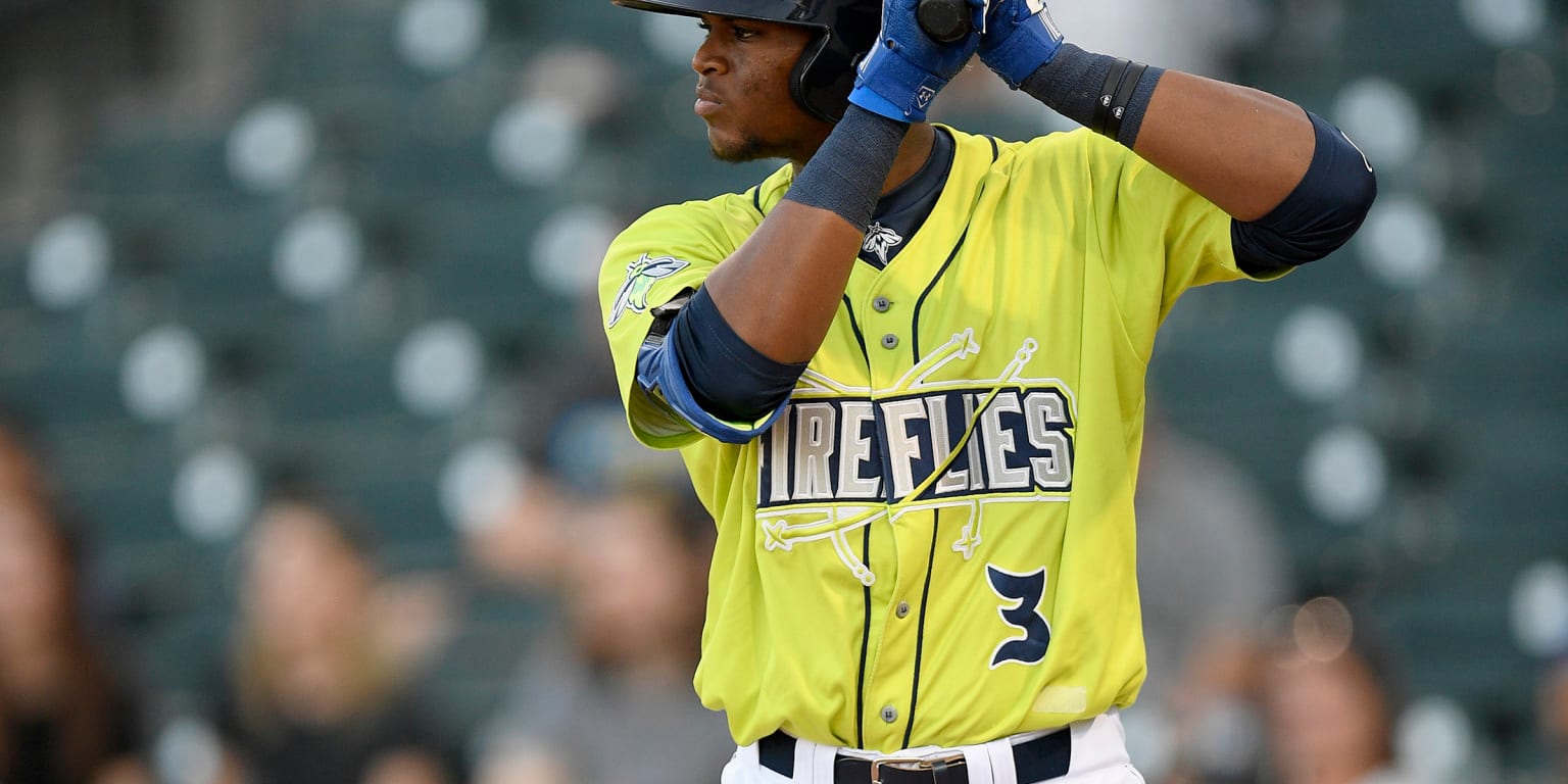 Newton Records Fifth Straight Multi-Hit Game in Fireflies Loss | MiLB.com