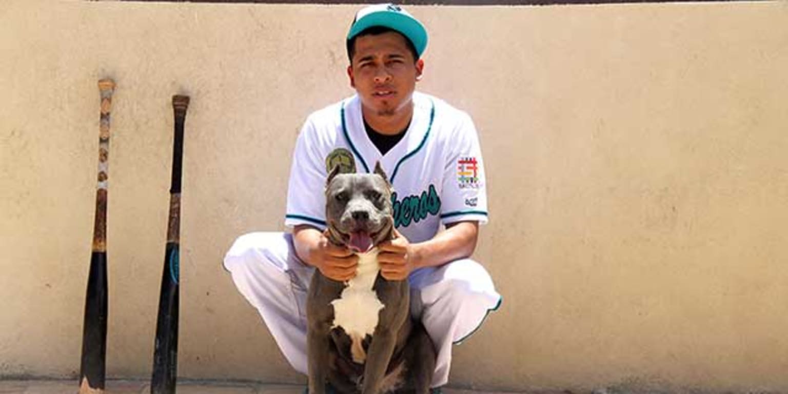 Ignacio Mireles, de chavo banda a profesional | MiLB.com